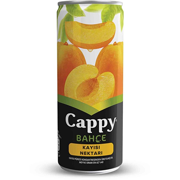 Cappy Kayısı Kutu 250 ml | CarrefourSA