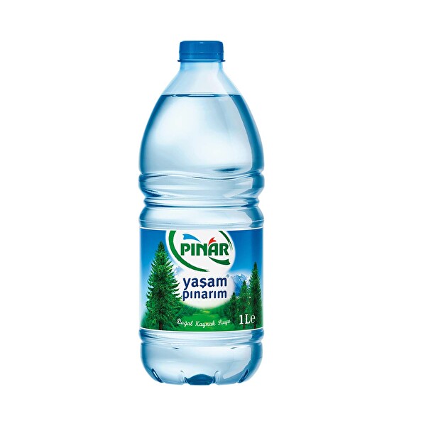 Pınar Su 1 L | CarrefourSA